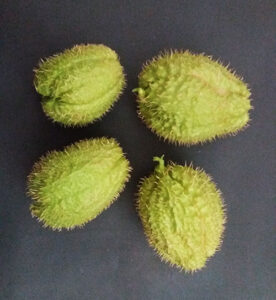 Mini Bundt Cakes with Chayote | 2pots2cook